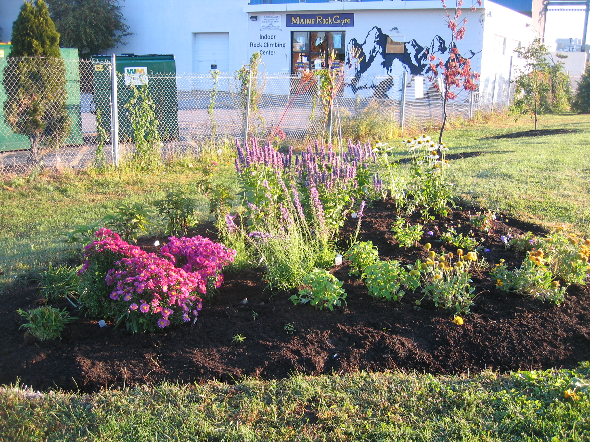 Portland Pollinator Partnership | Plant. Pollinate. Preserve.