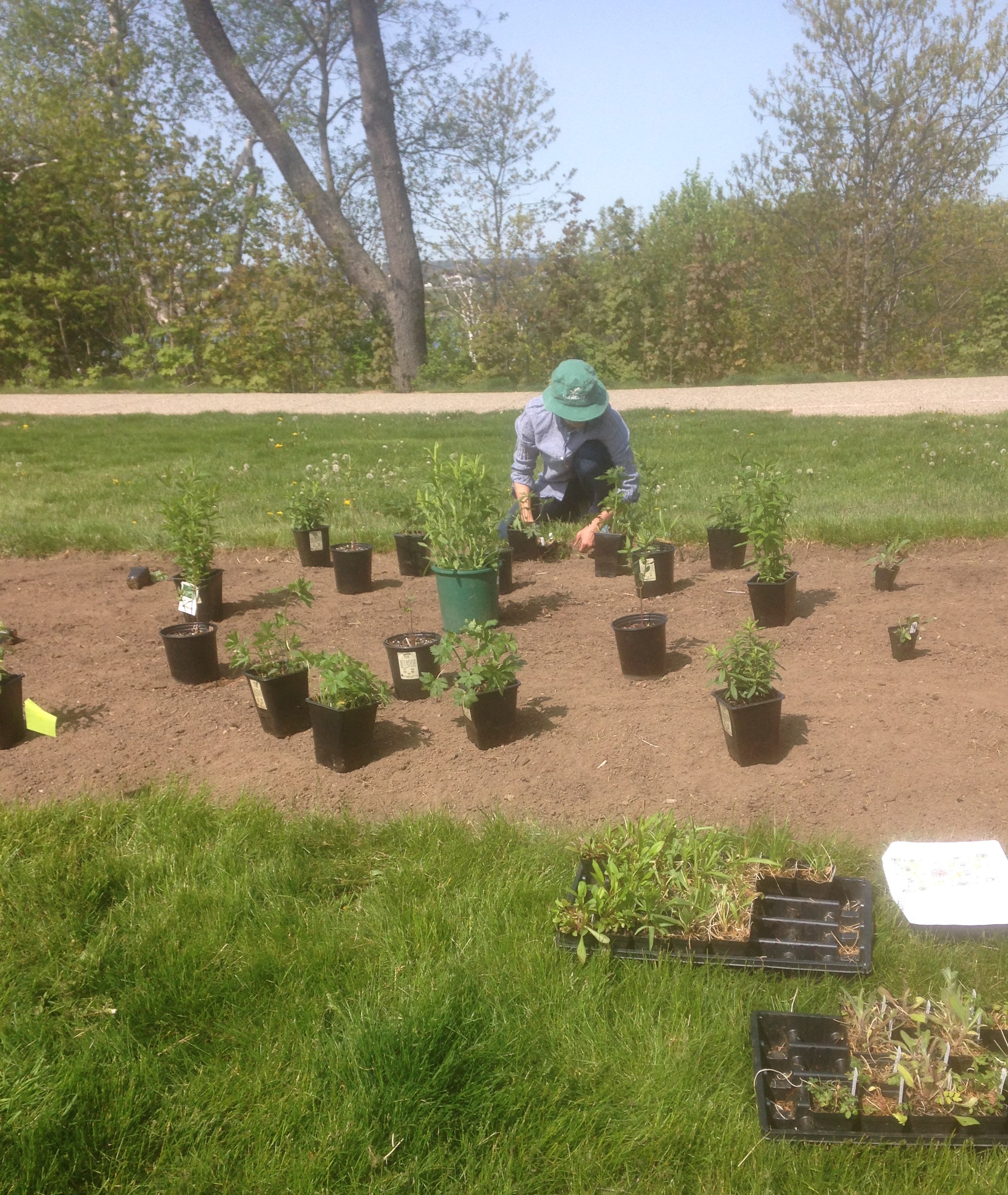 Portland Pollinator Partnership | Plant. Pollinate. Preserve.