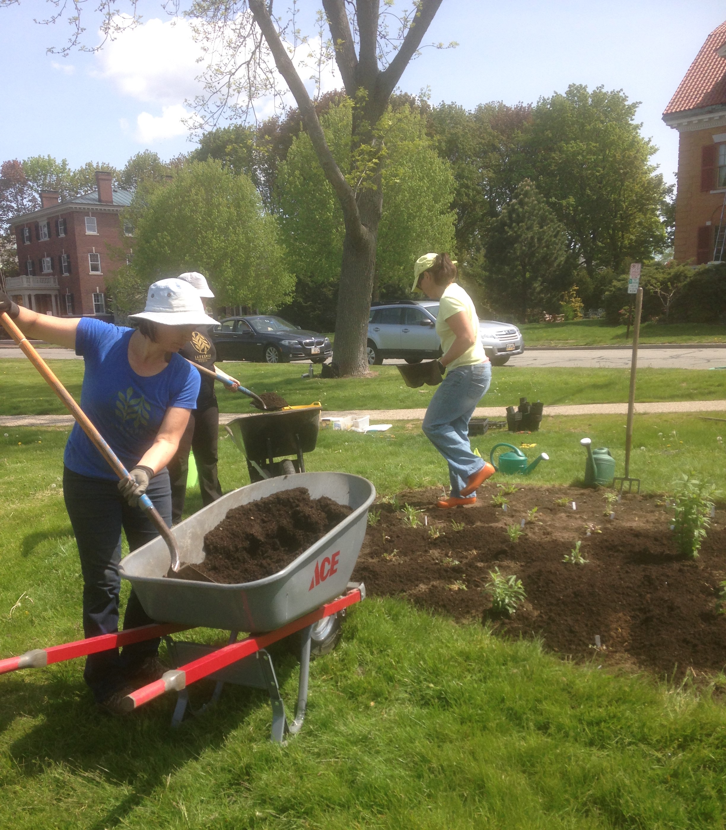 Portland Pollinator Partnership | Plant. Pollinate. Preserve.