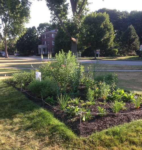 Portland Pollinator Partnership | Plant. Pollinate. Preserve.