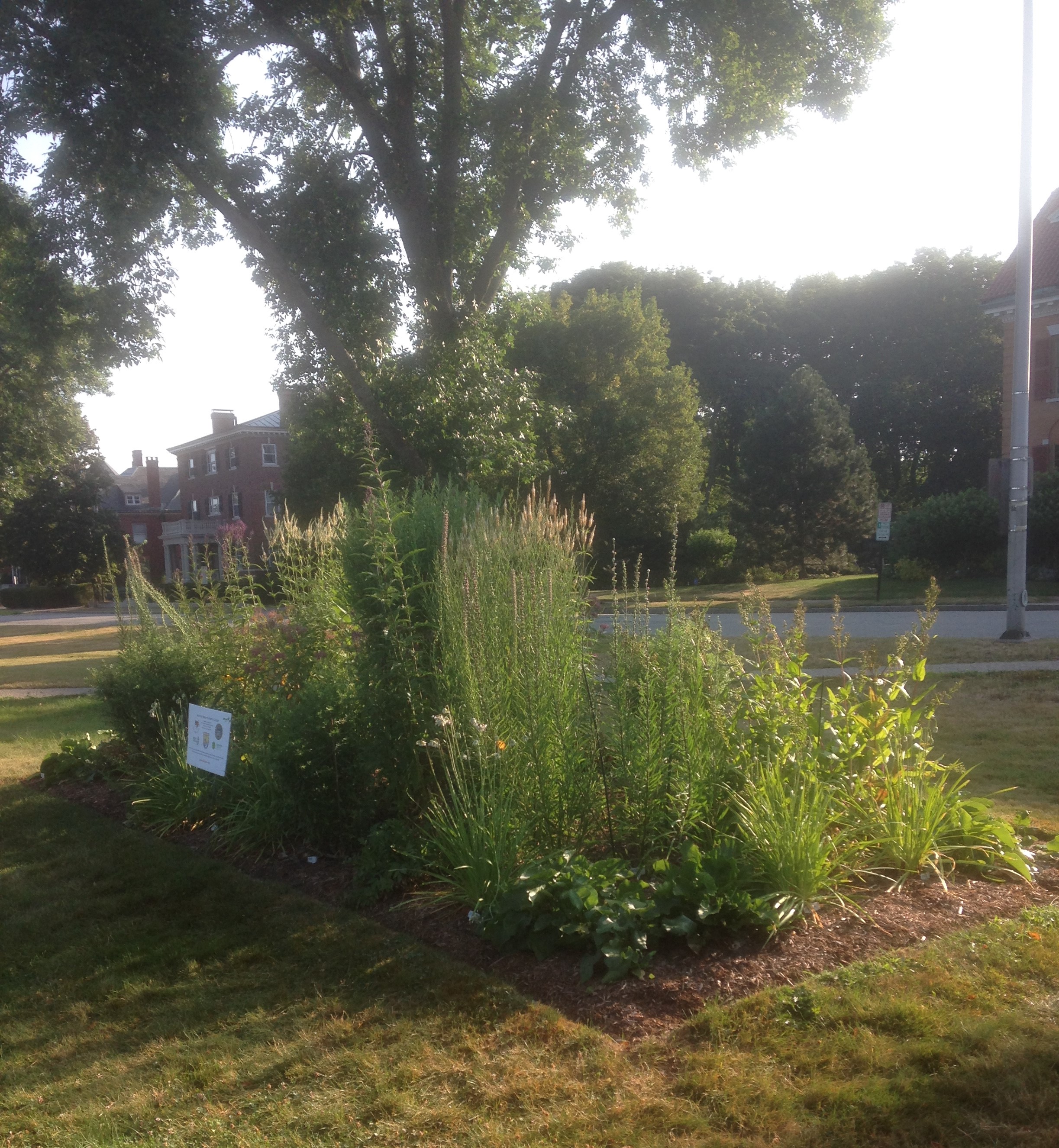 Support Our Work | Portland Pollinator Partnership