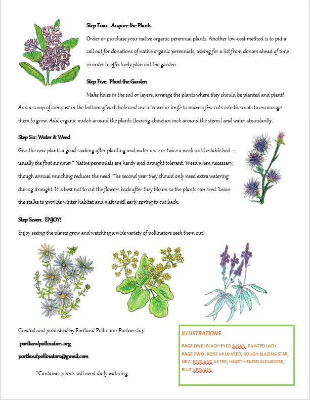 Portland Pollinator Partnership | Plant. Pollinate. Preserve.